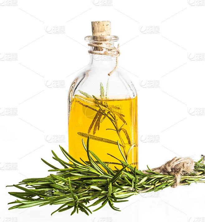 迷迭香精油素材-花瓣网