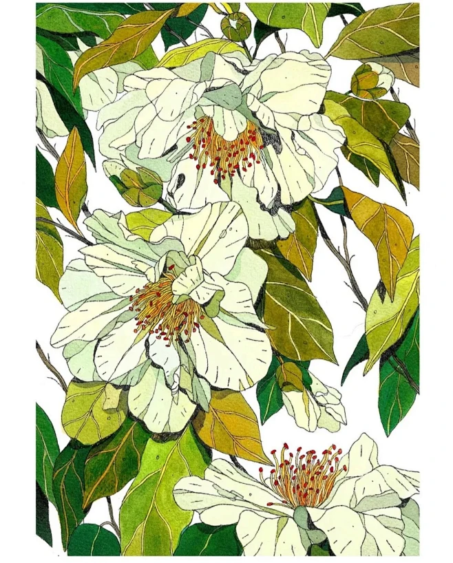 美国 Taylor Price (6)-花瓣网