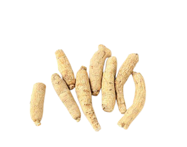 党参2-removebg-preview