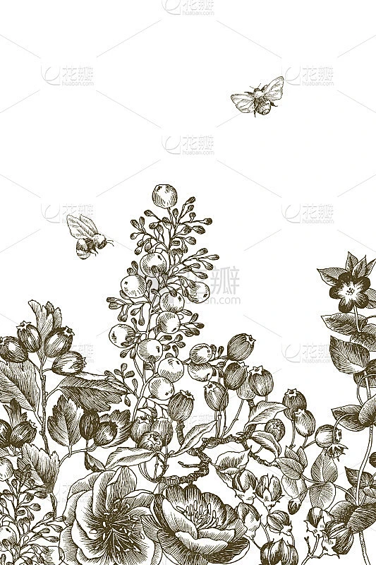 Wild flowers blossom branch background. Vintage bo素材-花瓣网