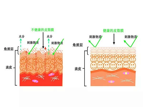 点击查看源网页-花瓣网