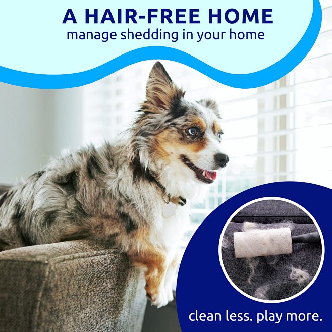 Amazon.com: Pat Your Pet Deshedding Brush - Double-Sided Undercoat Rake ...