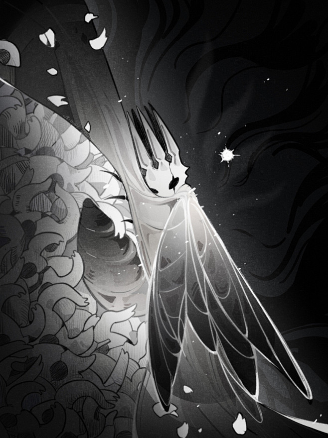 空洞骑士，白王