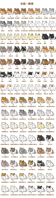 一只猫抬头看的剪影-花瓣网