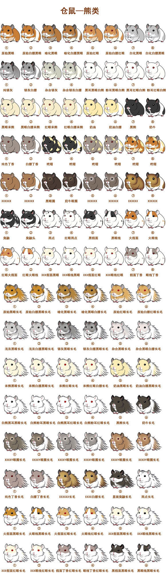 金丝熊一共有哪些品种。_金丝熊吧_百度贴吧