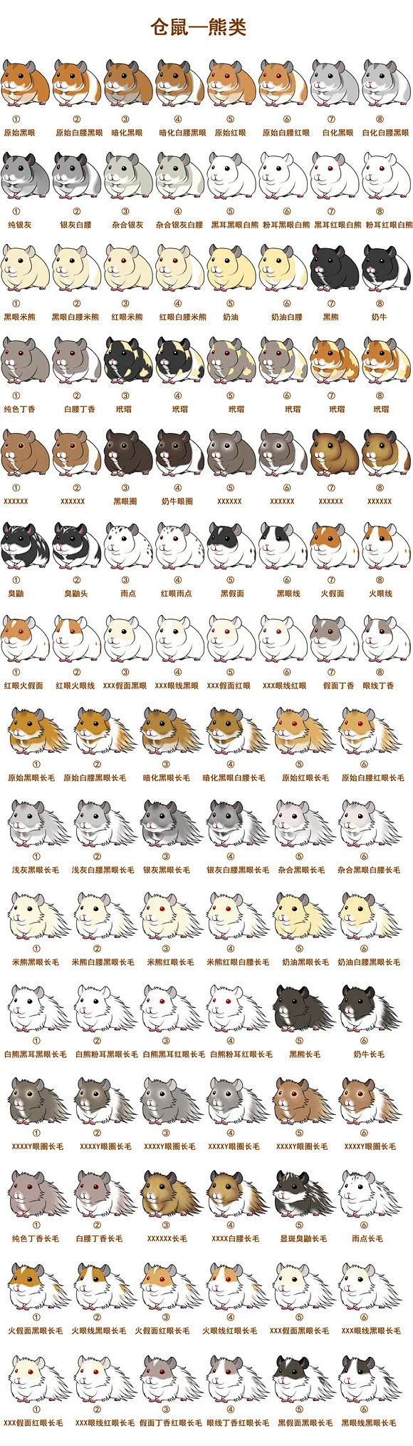 金丝熊一共有哪些品种。_金丝熊吧_百度贴吧-花瓣网