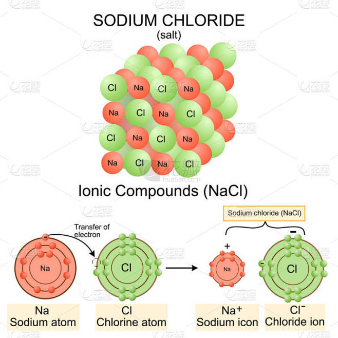 氯化钠（盐）的结构。 NaCl模型。矢量图解。盐的化学模型。离子化合物，离子键，教育和符号.