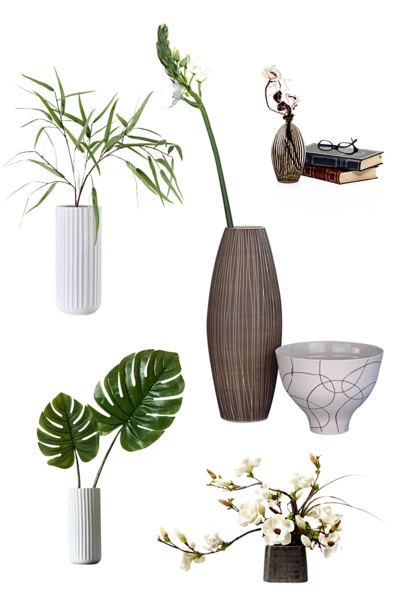 【米图网-52mitu.com】绿植 盆栽 书 ss绿植-花瓣网