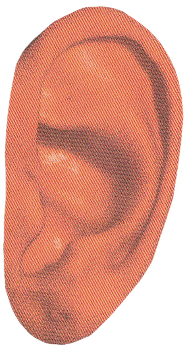 ear-02