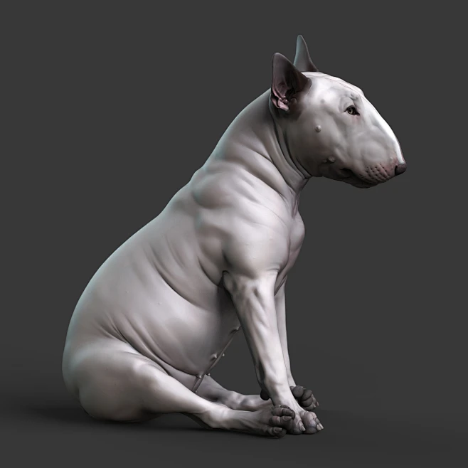Dog-花瓣网