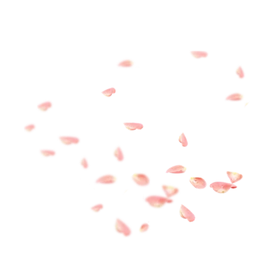 点击查看源网页-花瓣网