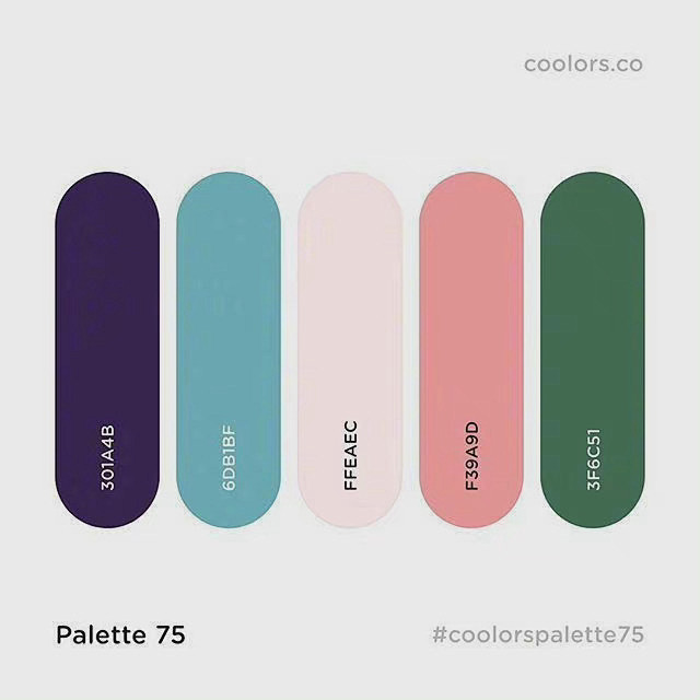 coolors.co