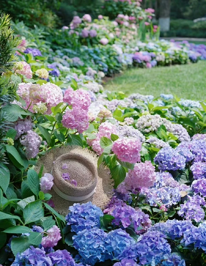 花瓣灵感详情页-花瓣网