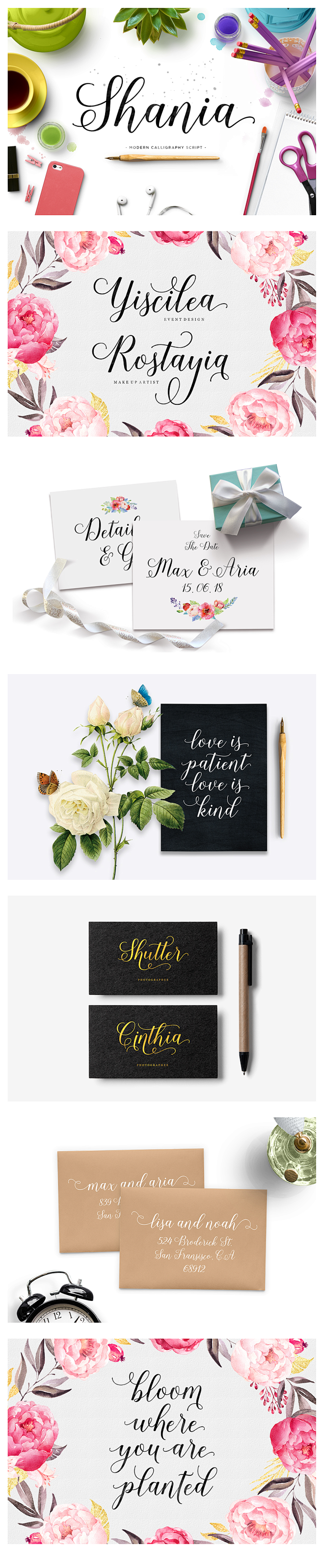 Shania-Script-on-Behance