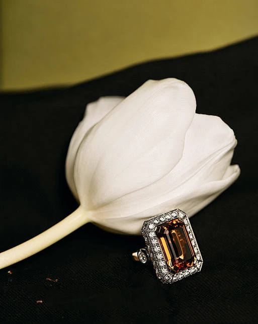 Marie-Claire with Photographer Mathieu Trautmann-花瓣网