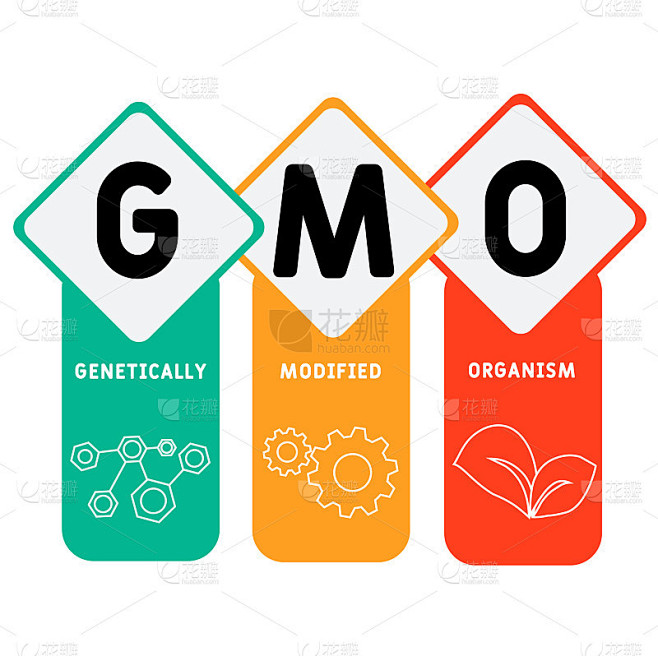 GMO -转基因生物的缩写