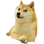 Doge Full Smiling-花瓣网