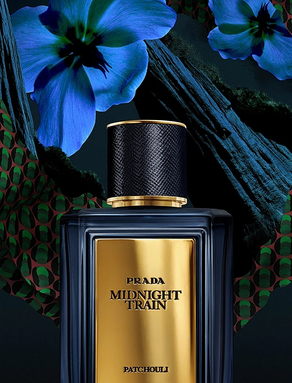 PRADA - OFFICIAL WEBSITE - CN-花瓣网