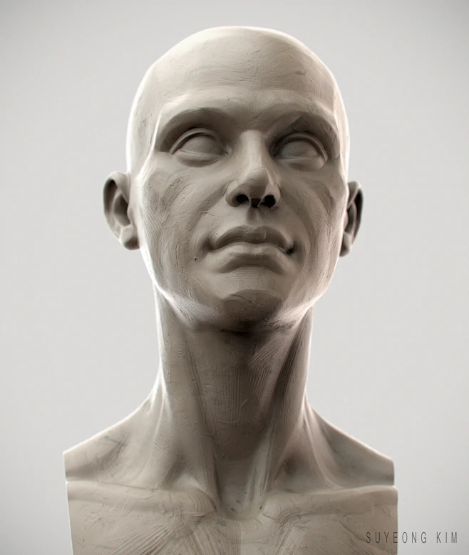 Female Anatomy Bust, Su Yeong Kim : Female Anatomy Bust I made this for ...