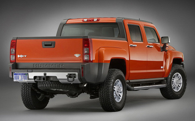Hummer_4009