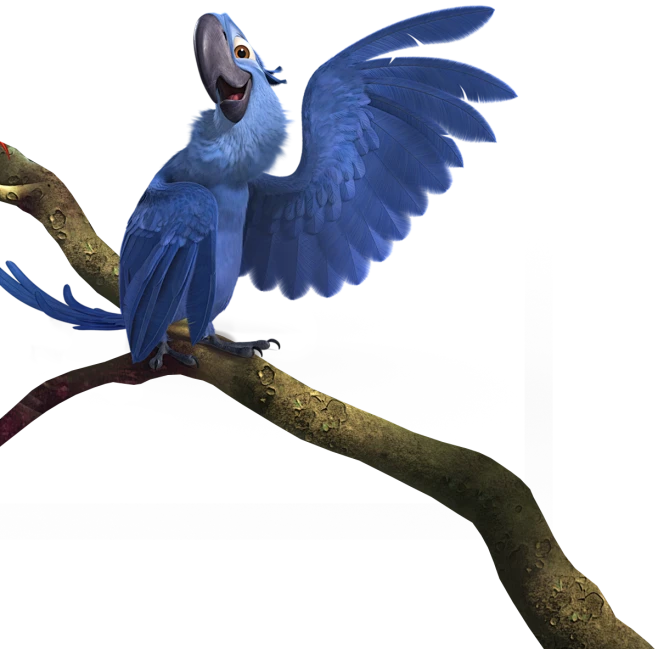 Rio 2 Official Movie Site - Story : RIO returns in RIO 2 joined by a ...