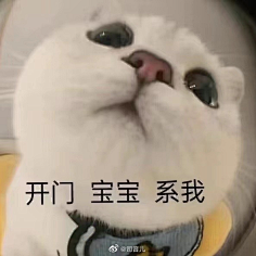 发疯-花瓣网|陪你做生活的设计师 | 图源网络） : 一组打工人必备电脑壁纸，祝大家赚大钱 （图源网络）