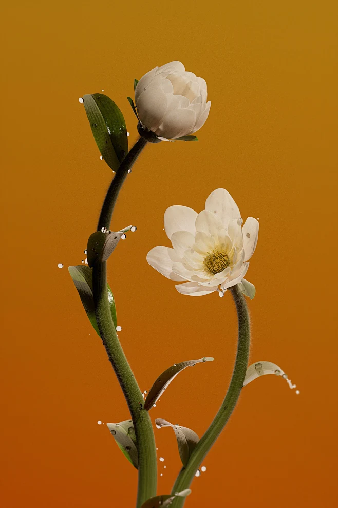 3d art art cinema 4d flower Flowers Nature octane Photography Render ...