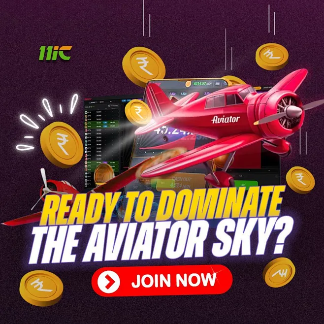 Get ready to feel the excitement of Aviation service by flying your ...