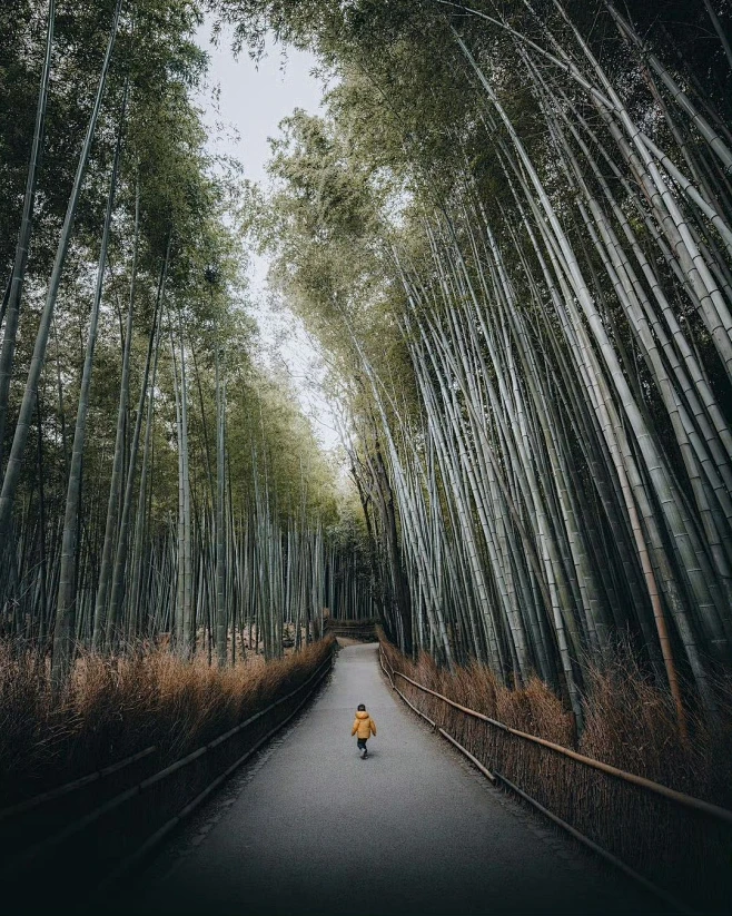 Luke Stackpoole-花瓣网