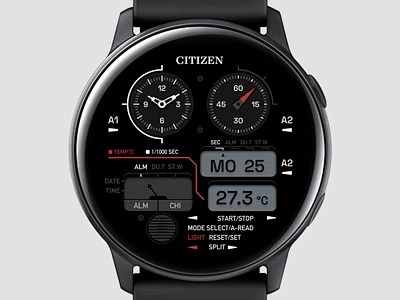 Citizen Watch Face 3-花瓣网