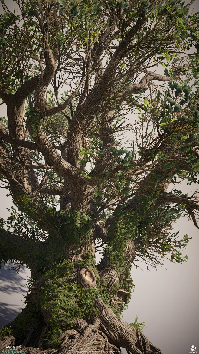 Assassin's Creed Valhalla - Trees, Adrien Paguet-Brunella : Here are ...