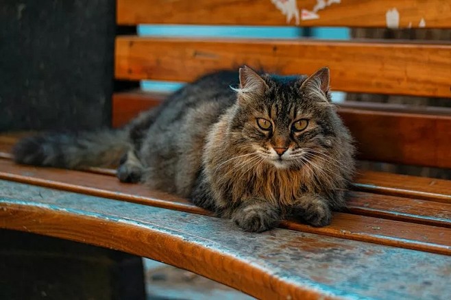 format,webp.webp (10)