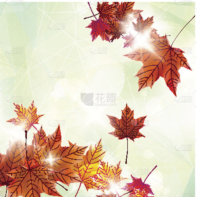 抽象的秋天插画与枫叶。