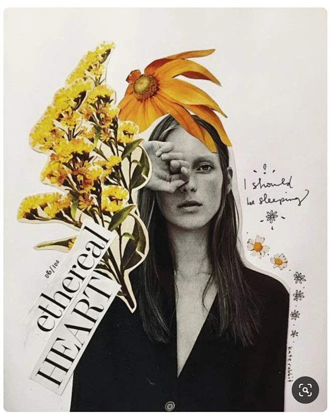 (16) Pinterest-花瓣网