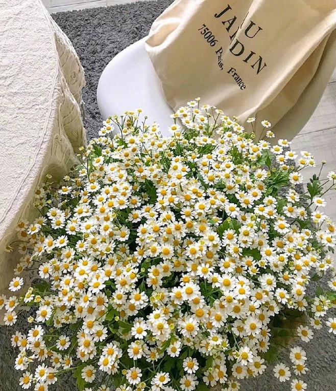 [em]e400119[/em]Good Morning,Have a Nice Day. [em]e400118[/em]