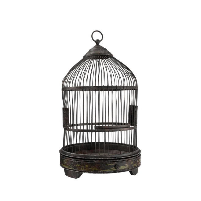 Old Bird Cage-花瓣网