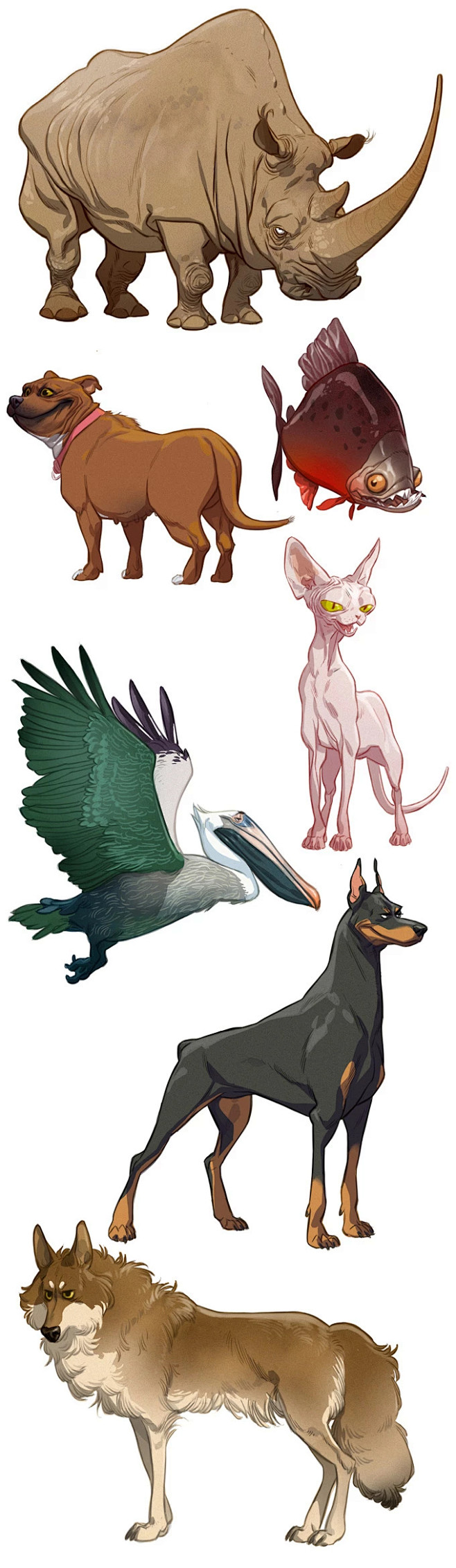 masters_of_anatomy_cartoon_animals_all_f721