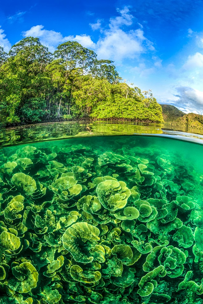 SPLITS : Split shots under water, also called half half shots, that are ...