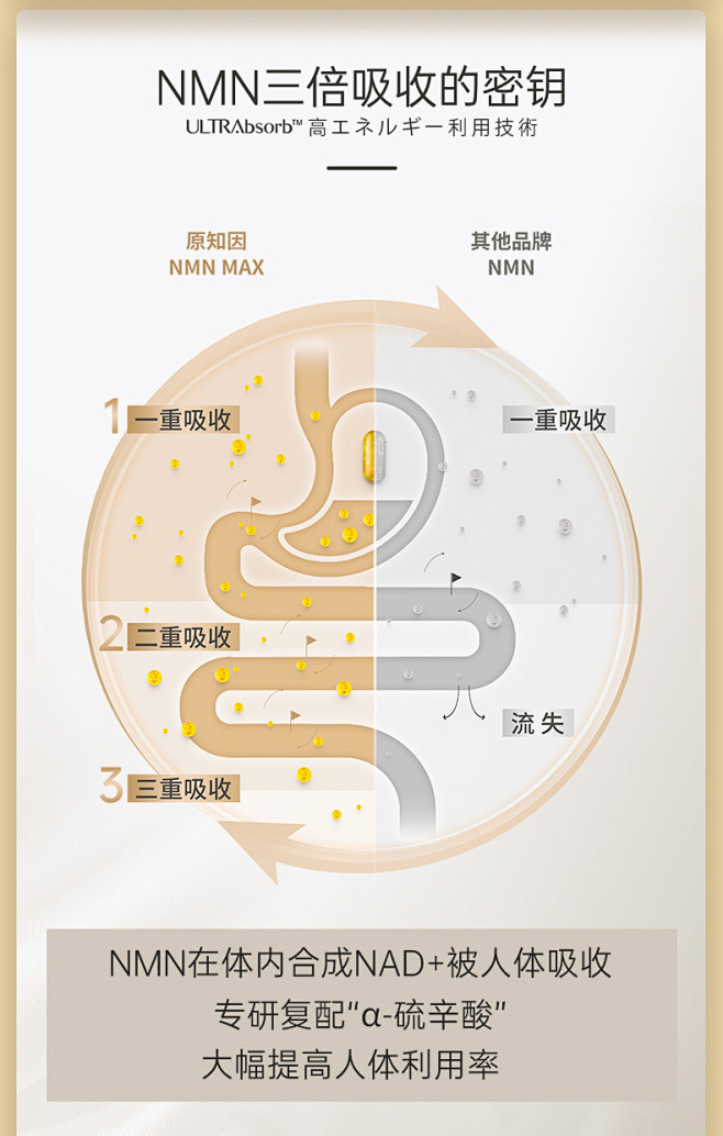 原知因金纯日本Origene wlife nad+前体补充剂12000nmn官方旗舰店-tmall.hk天猫国际