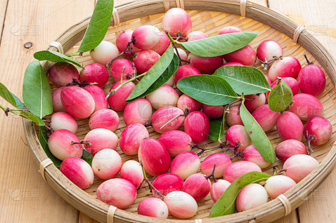 新鲜的Karaunda (karonda) berry， (Carissa carandas)