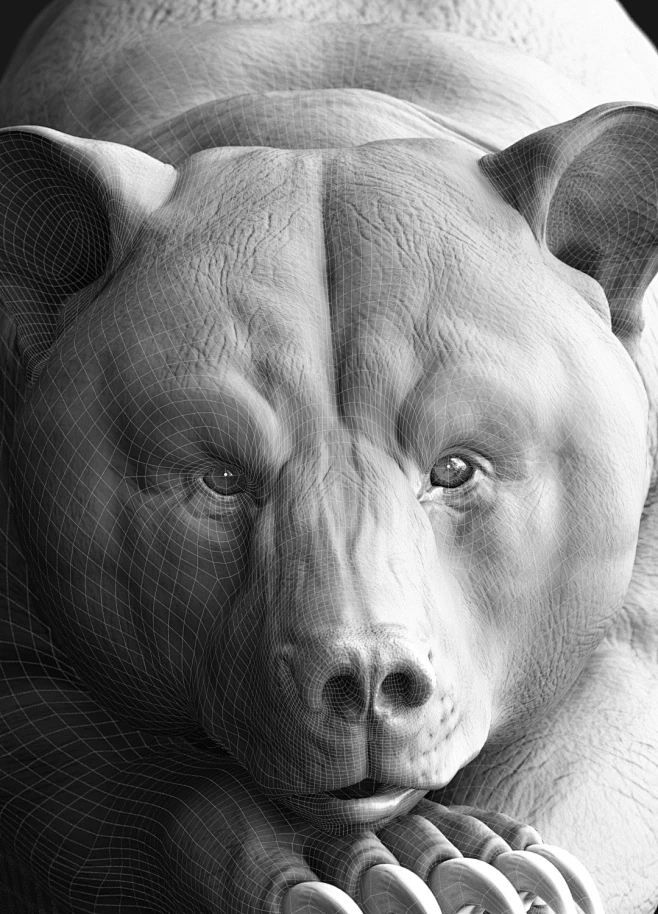 Bear portrait, , MassimoRighi - CGSociety-花瓣网