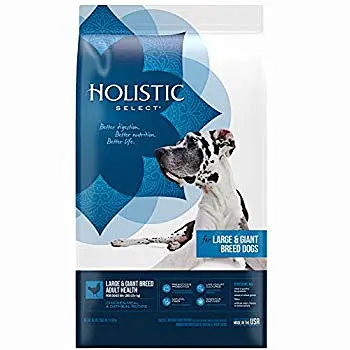 Amazon.com : Holistic Select Natural Dry Dog Food, Lamb Meal Recipe, 30 ...