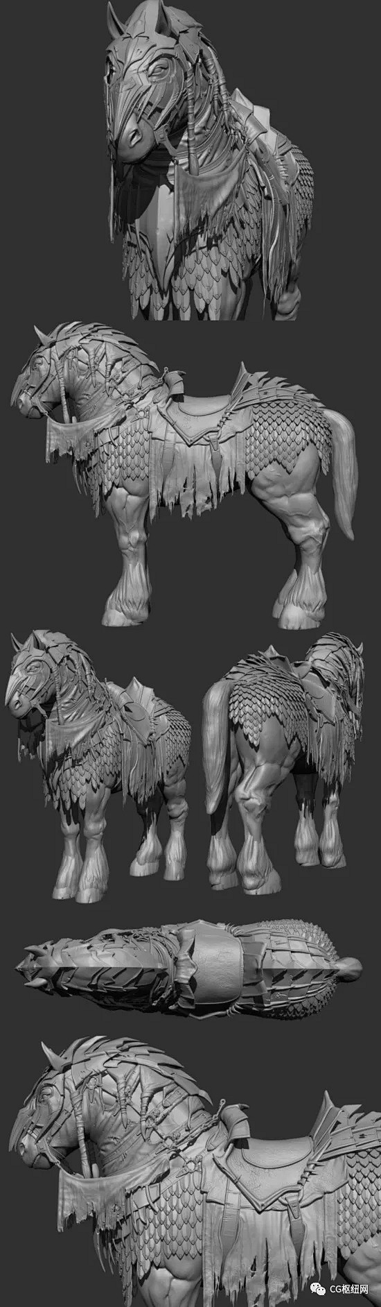 学CG,必看的zbrush动物解剖！！ : 学CG,必看的zbrush动物解剖！！