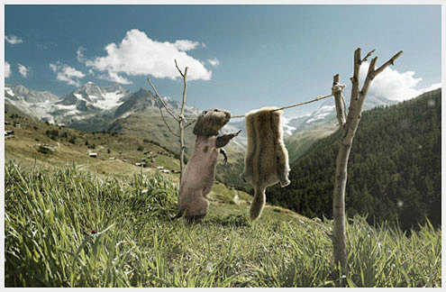 30个有趣的照片创意处理 | Jackchen Design 1984-花瓣网