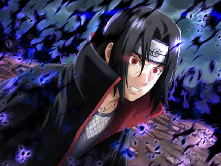 微博搜索-花瓣网