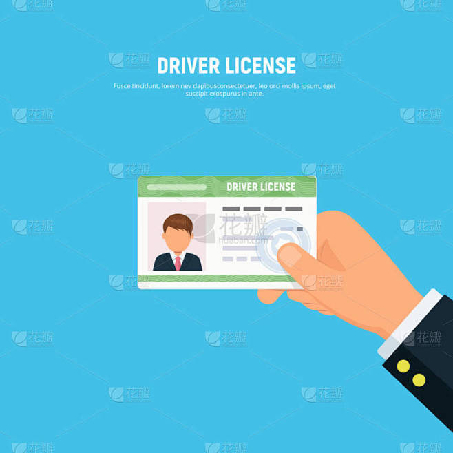 个人手持驾驶执照特写。带照片的司机身份证。平面式矢量图解.