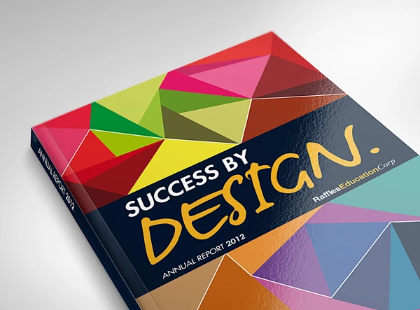 "Success by Design" Annual Report 2012 on Behance-花瓣网