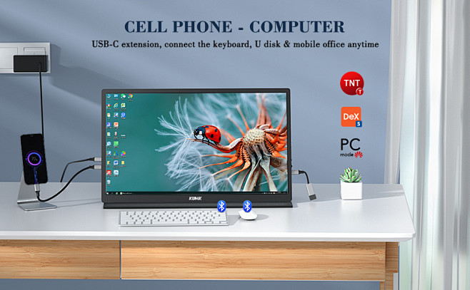 17 Inch Portable Monitor