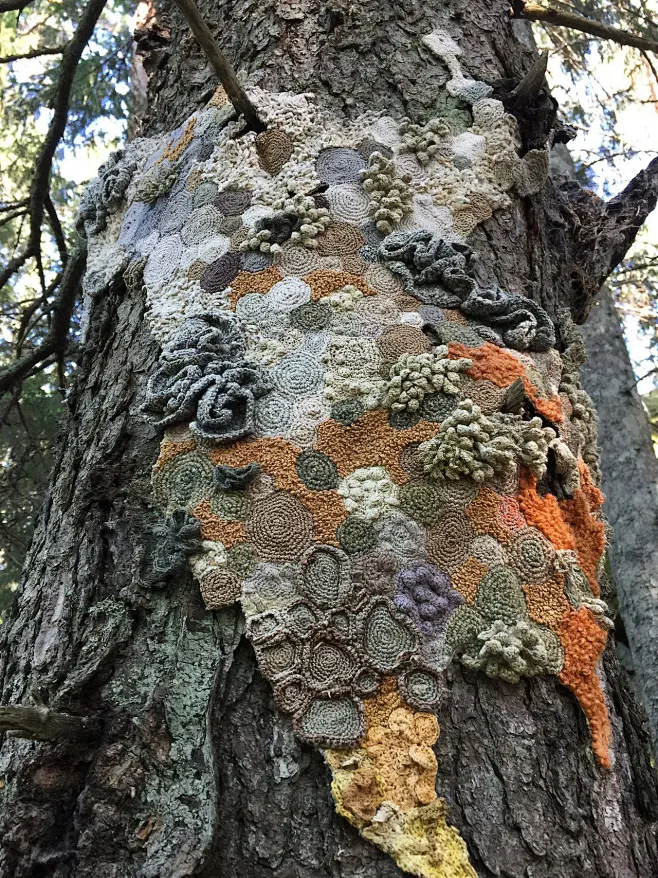 Art in nature-花瓣网