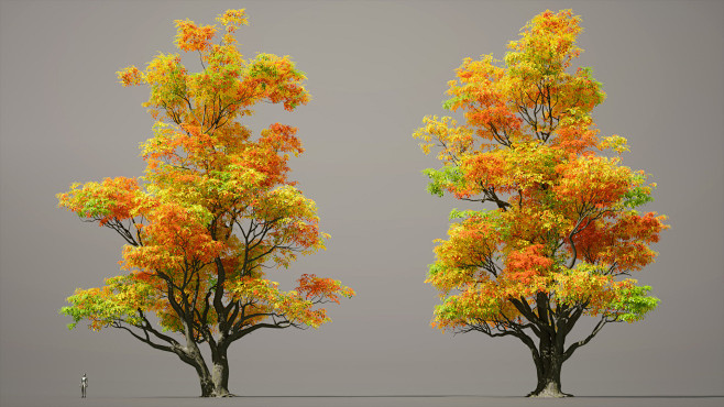 UE5 Tree test